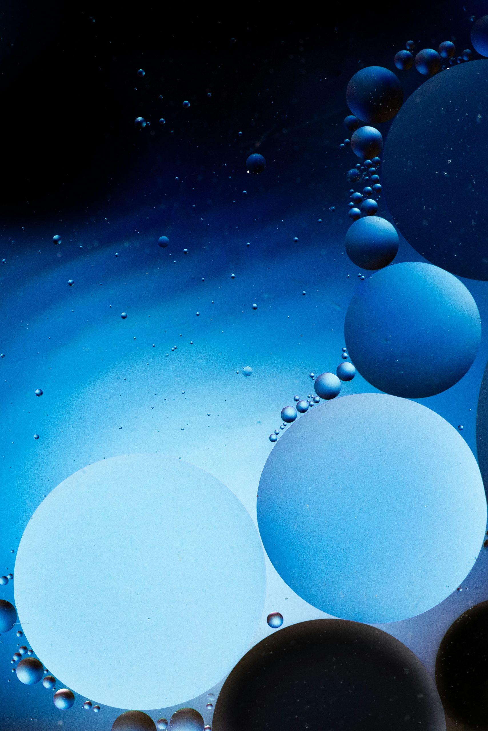 Market Matters- Quiet Week but lots bubbling under the surface - IDAD